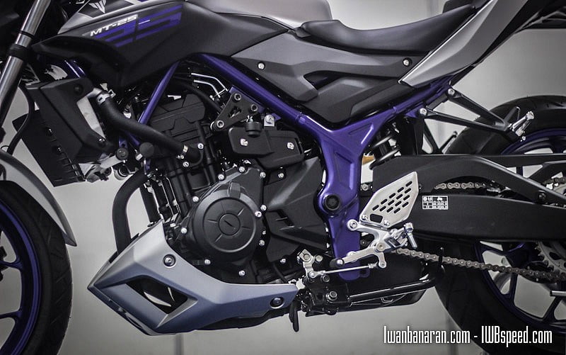 Yamaha MT25 Naked Bike Revealed