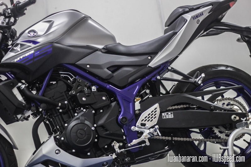 Yamaha MT25 Naked Bike Revealed