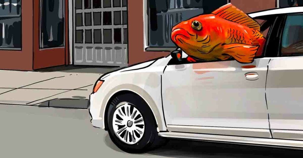 Now Goldfishes Can Drive Cars – See it to Believe it! » Car Blog India