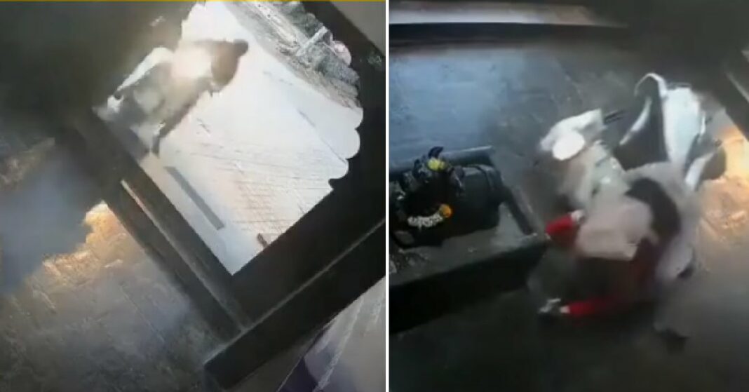 Young Woman Learning to Ride Honda Activa Crashes Into Temple » Car ...