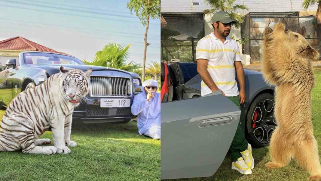 Car Collection of Humaid Albuqaish is EXOTIC » Car Blog India