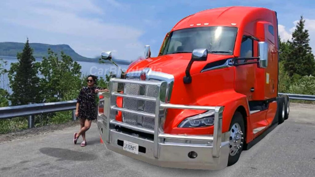 Indian Truck Driver in USA Details her Rs 2.5 Crore Kenworth – VIDEO ...